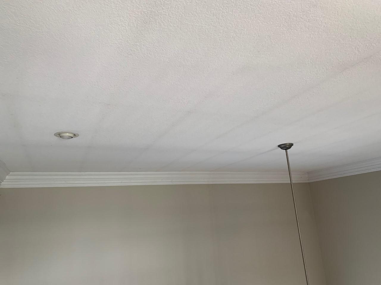 Thermal Tracking: Diagnose Indoor Wall Or Ceiling Ghosting, 46% OFF