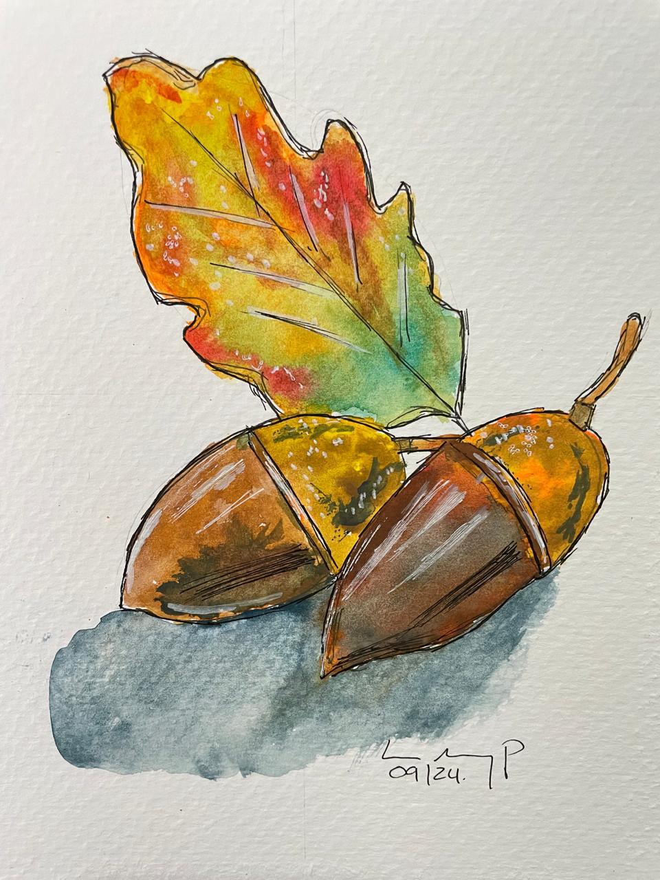 Lesson 2. Acorns