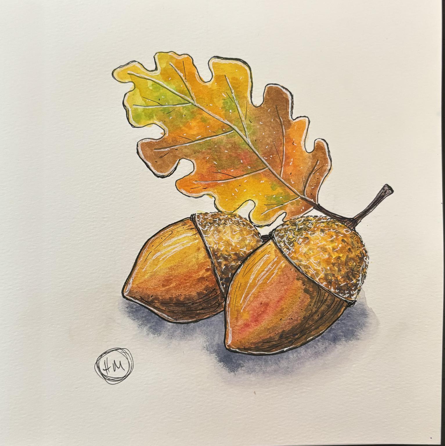 Lesson 2. Acorns
